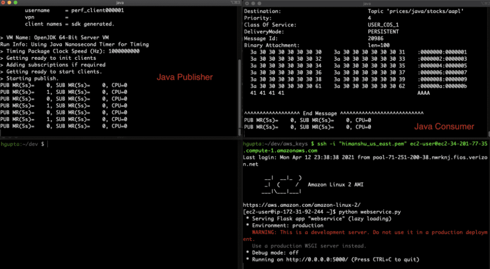 Demonstrating Hybrid Architecture with REST & Streaming APIs